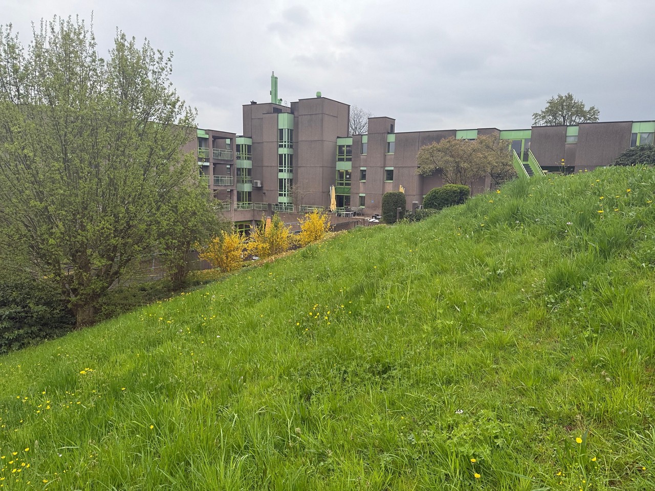 Altersheim Im Ris | Stadt Zürich